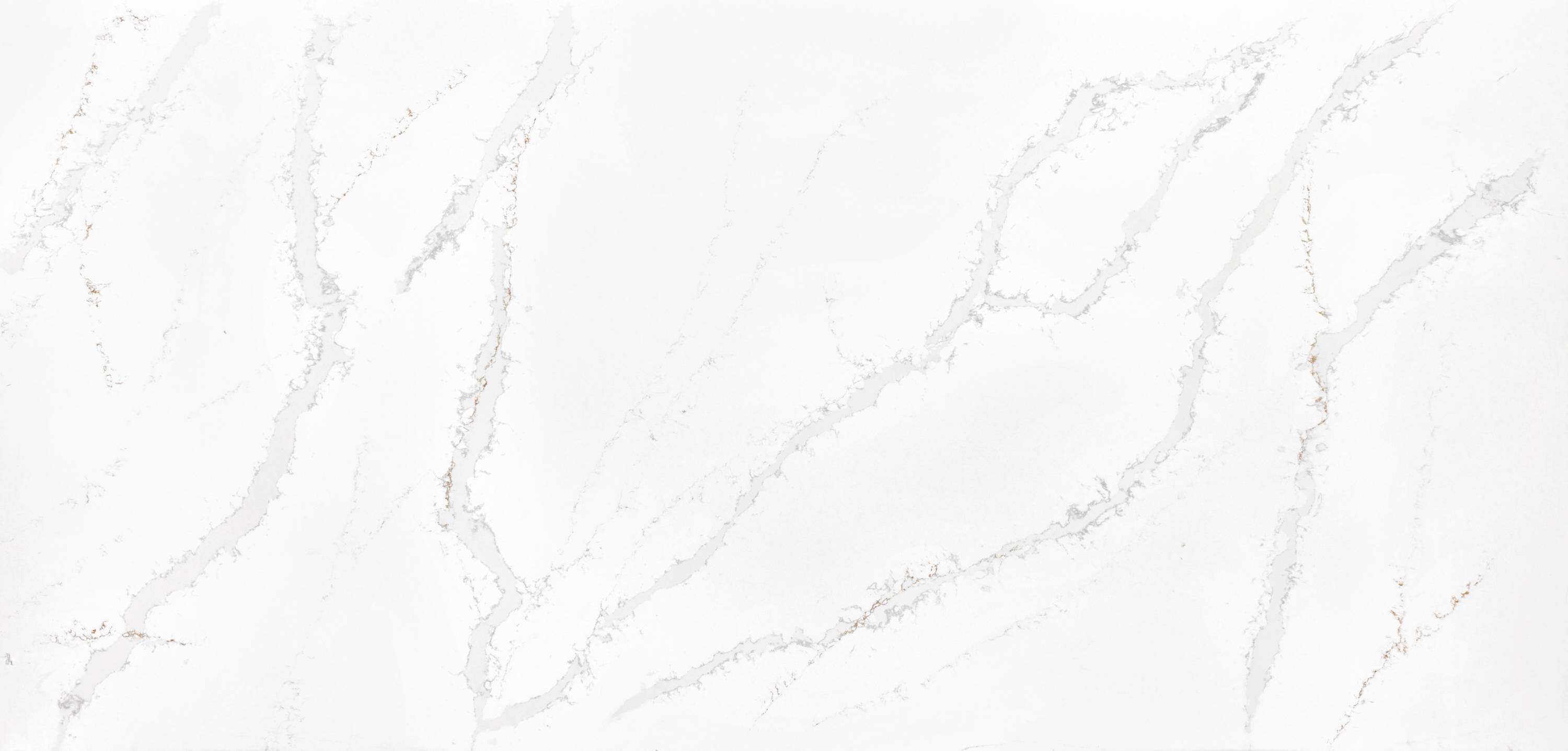 Calacatta Victory | Belenco Products